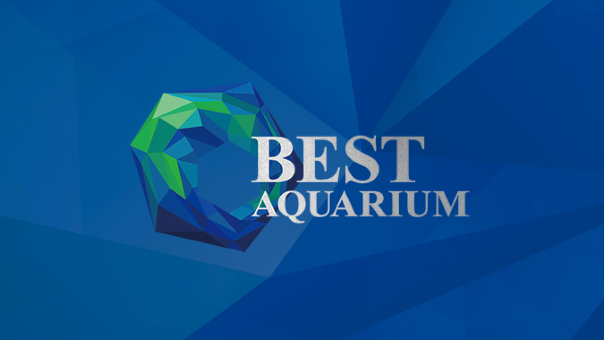 2021 - THE INTERNATIONAL AQUATIC PLANTS LAYOUT CONTEST