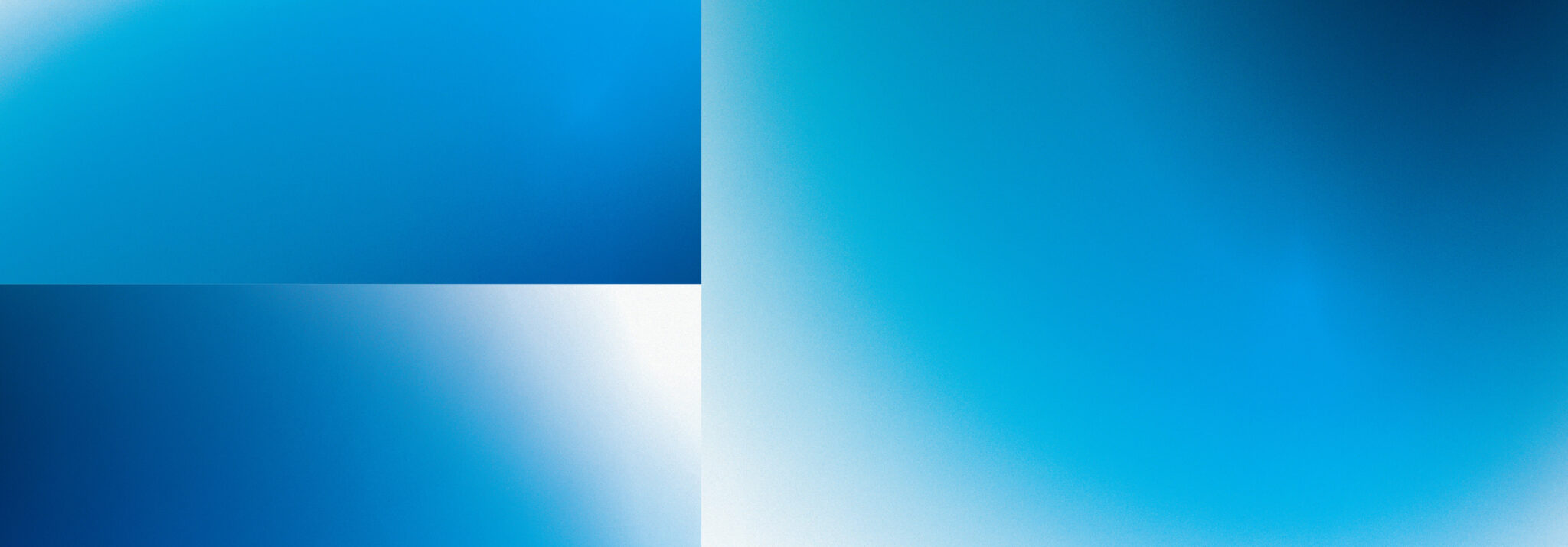 IAPLC2024 World Ranking Announcement - THE INTERNATIONAL AQUATIC PLANTS ...