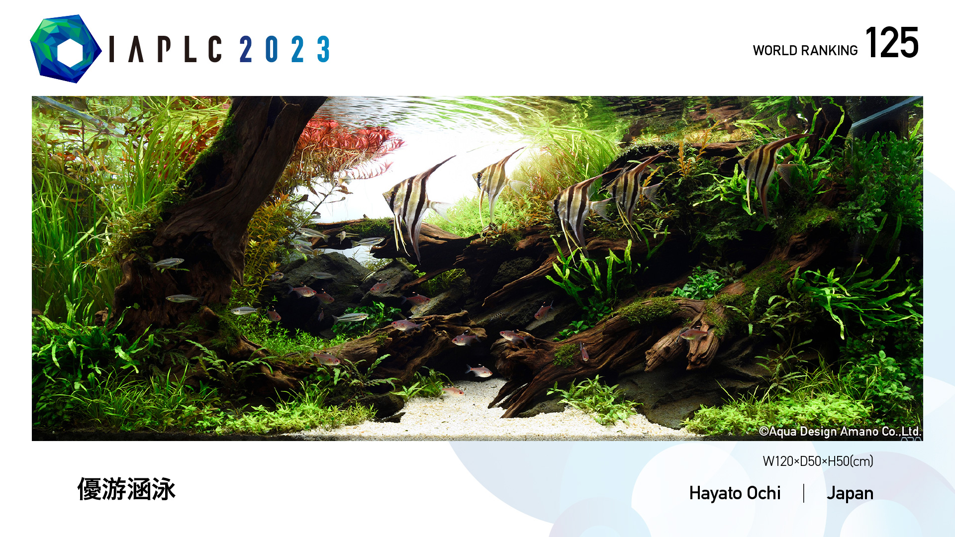 IAPLC - ONLINE APPLICATION