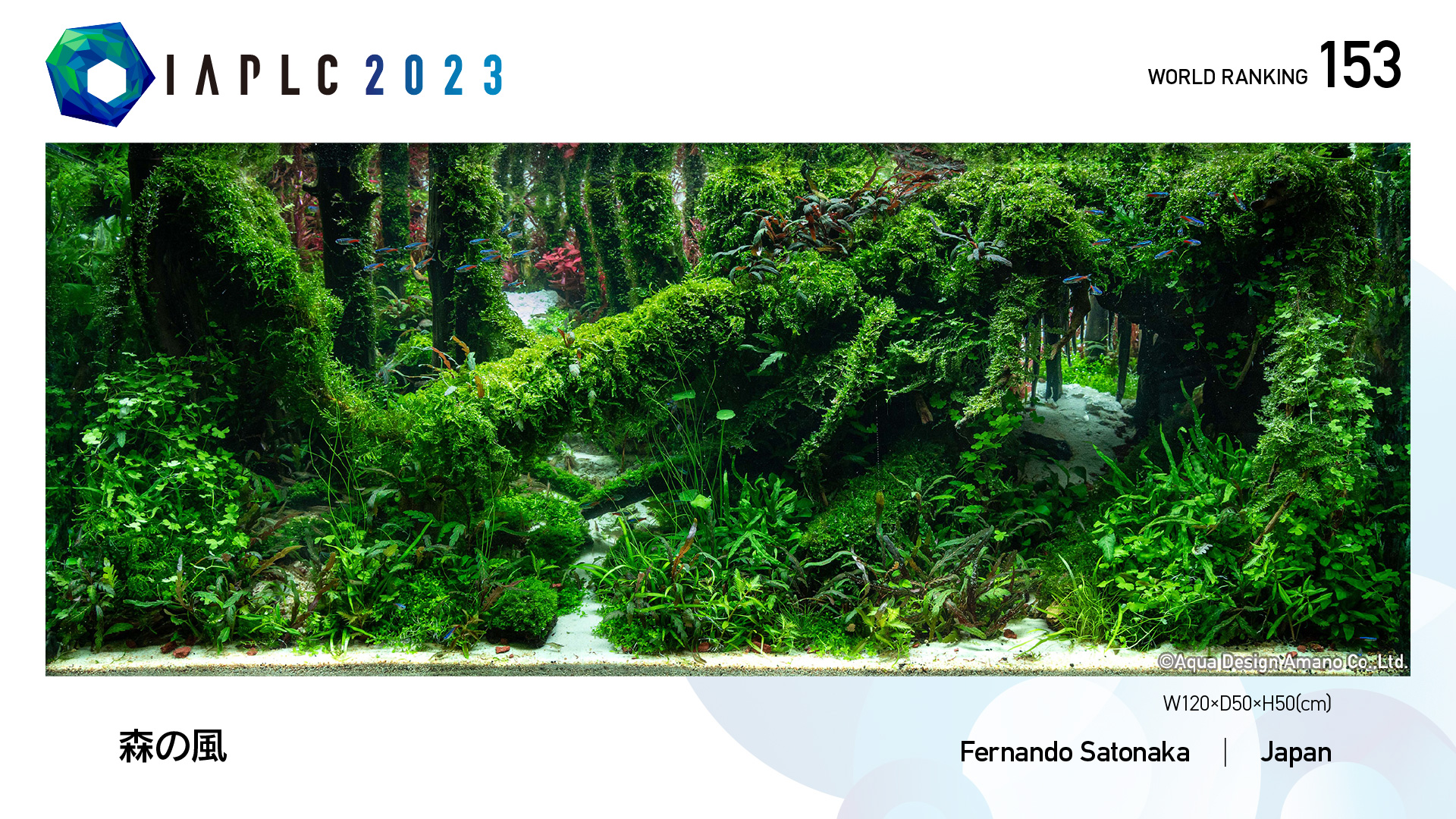 IAPLC - ONLINE APPLICATION