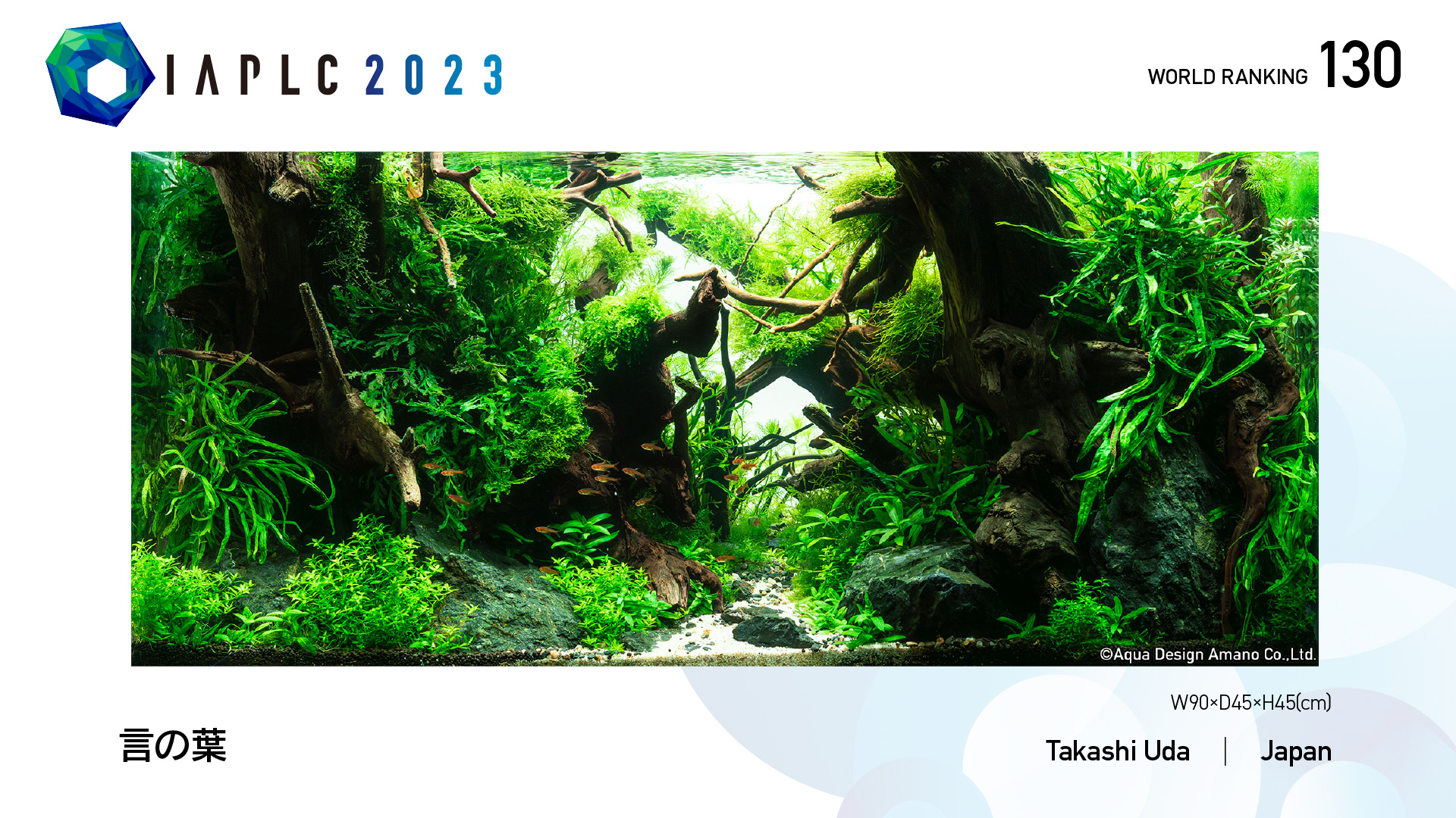 IAPLC - ONLINE APPLICATION