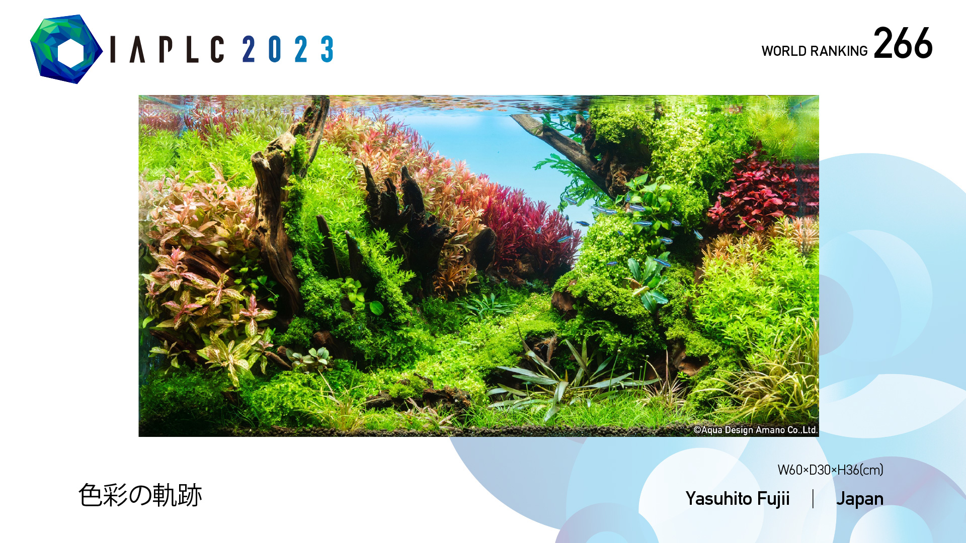 IAPLC - ONLINE APPLICATION