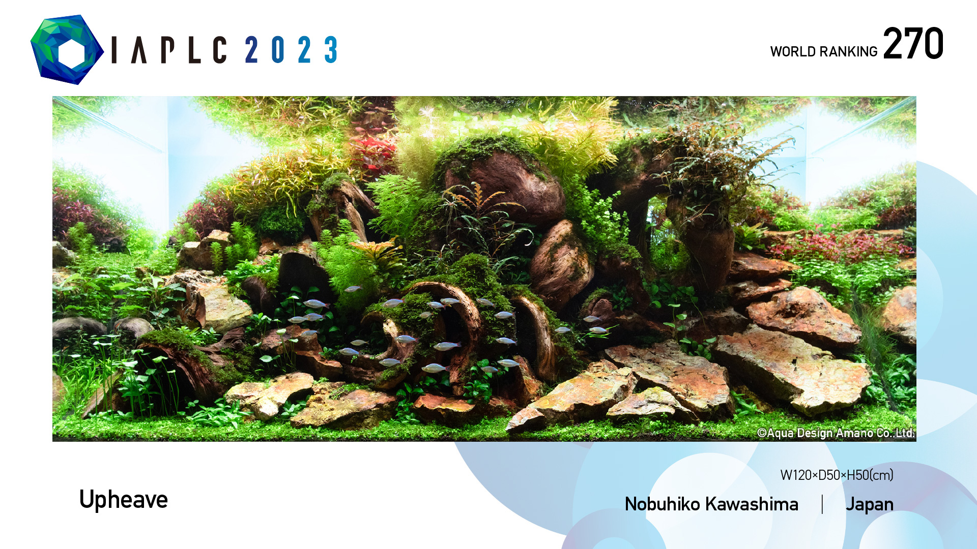 IAPLC - ONLINE APPLICATION