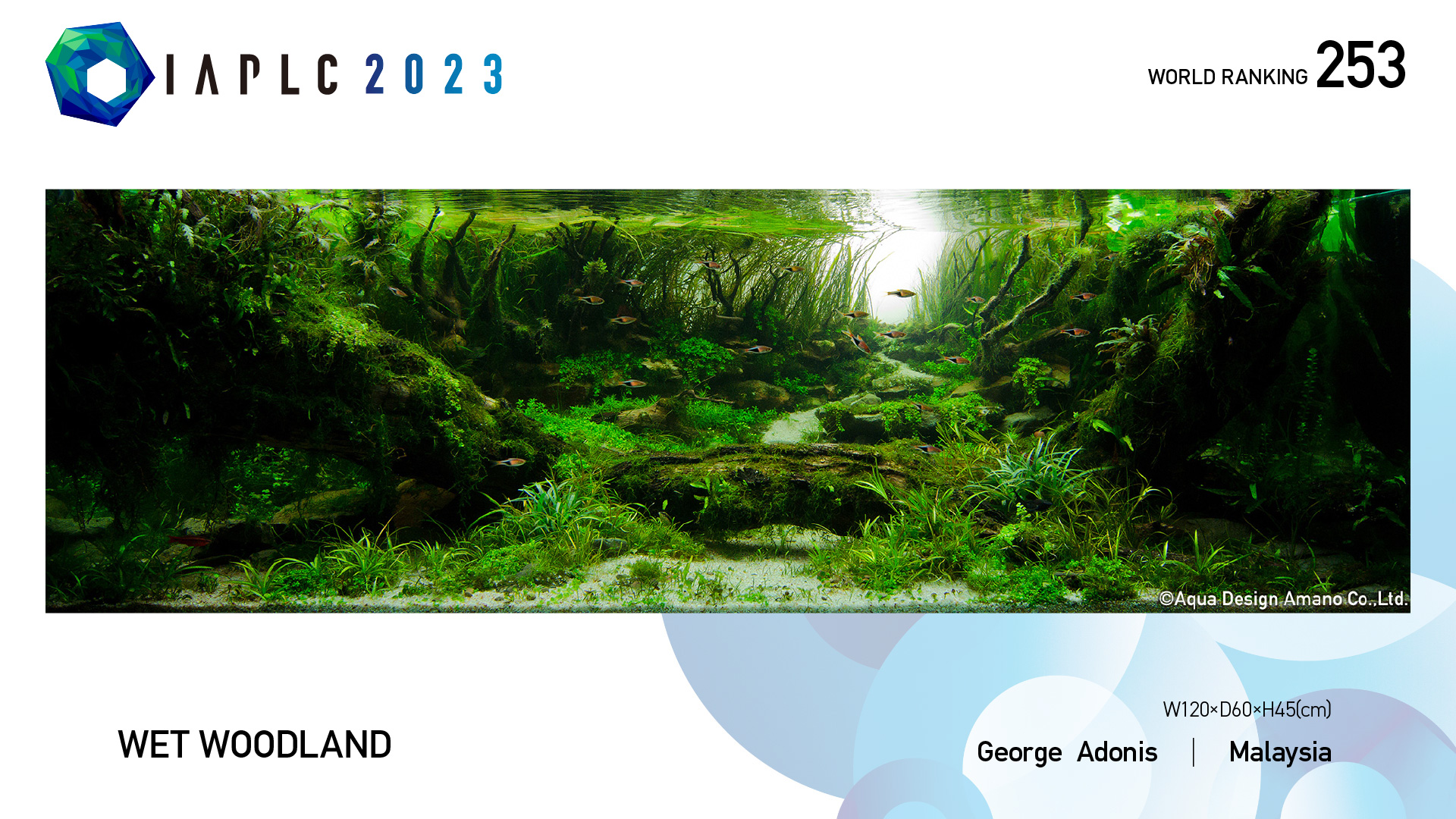 IAPLC - ONLINE APPLICATION