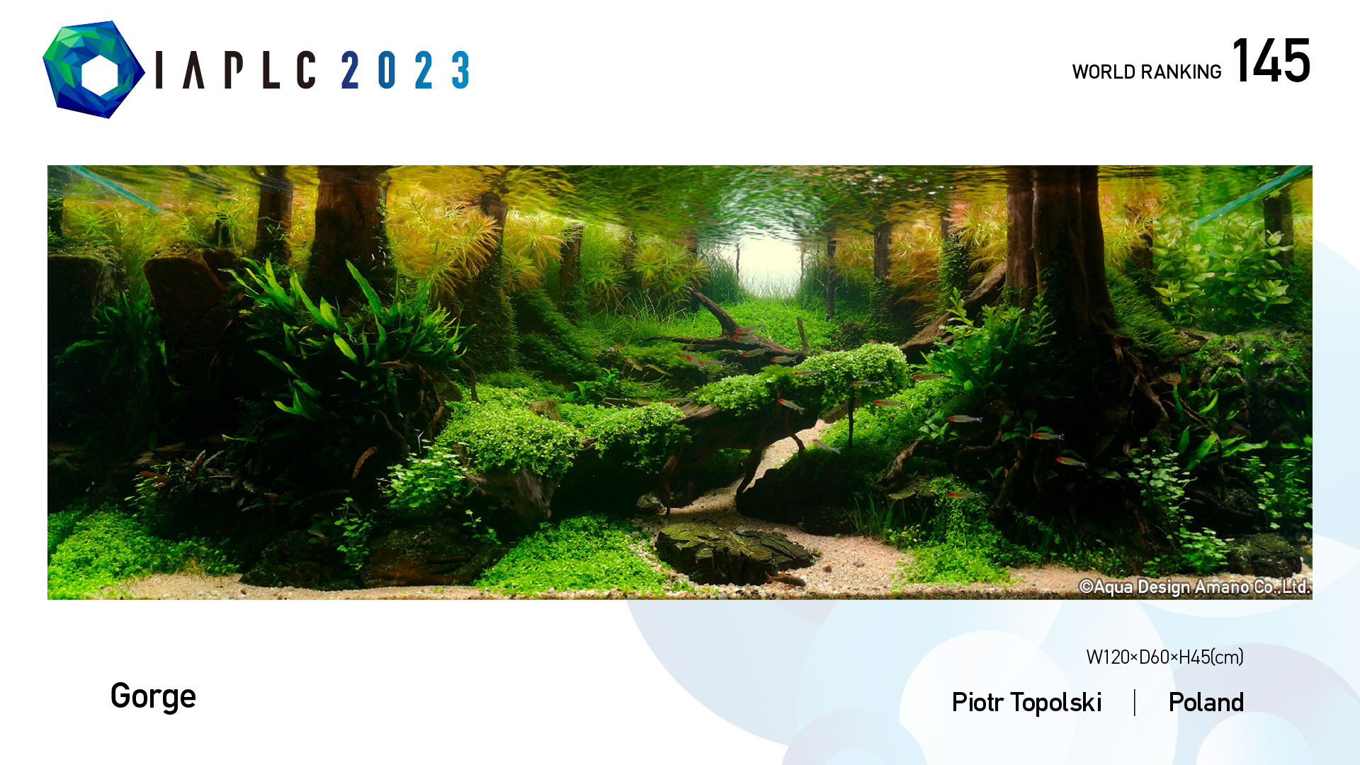 IAPLC - ONLINE APPLICATION