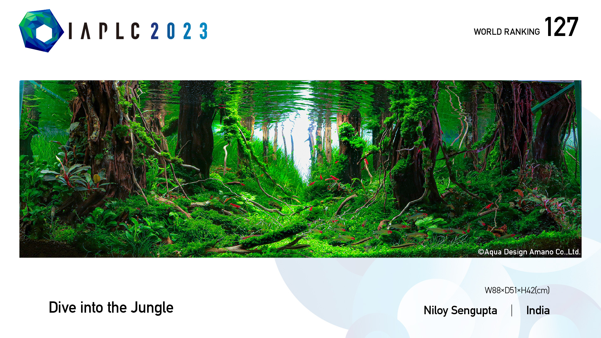 IAPLC - ONLINE APPLICATION