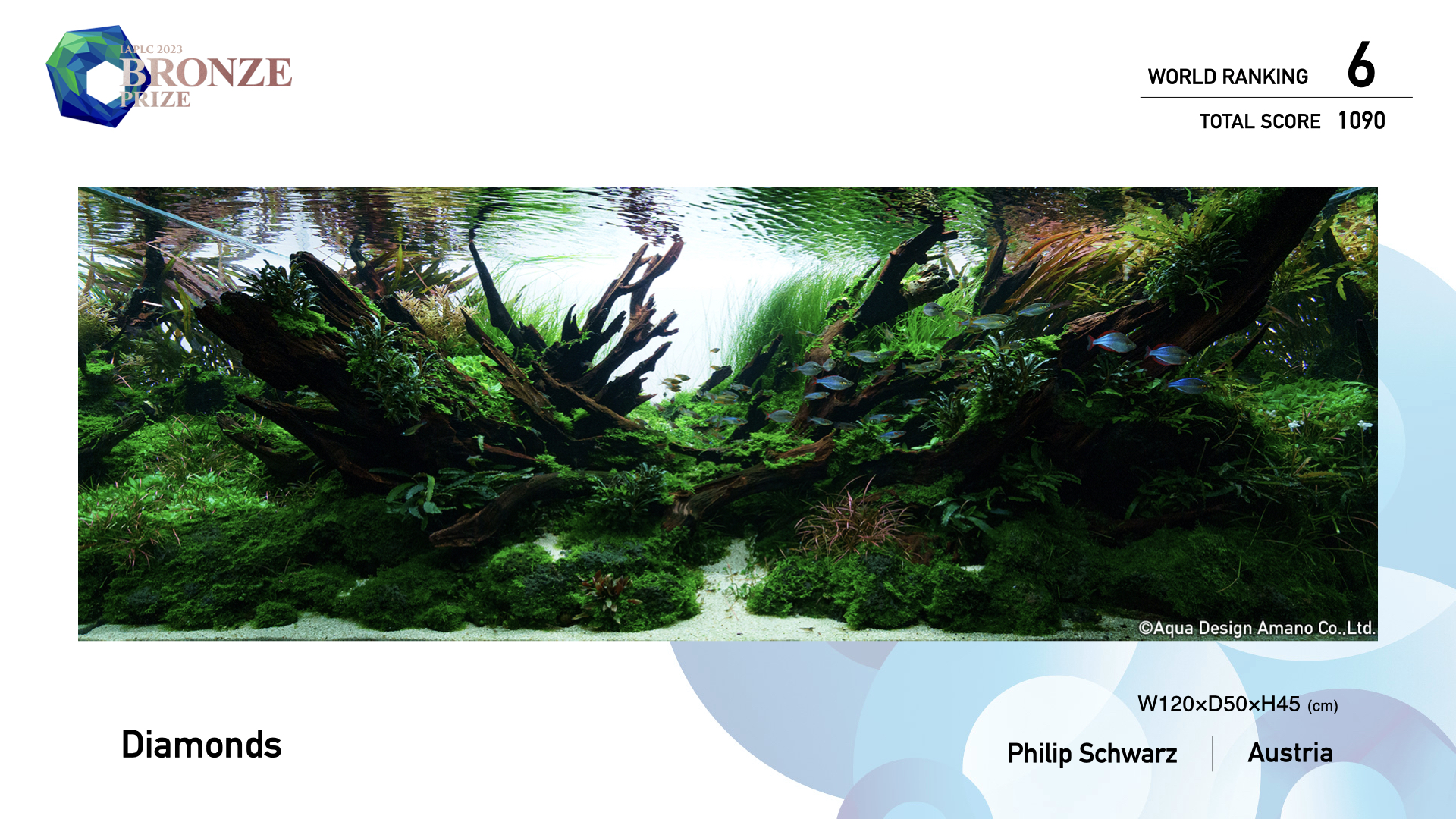 IAPLC - ONLINE APPLICATION