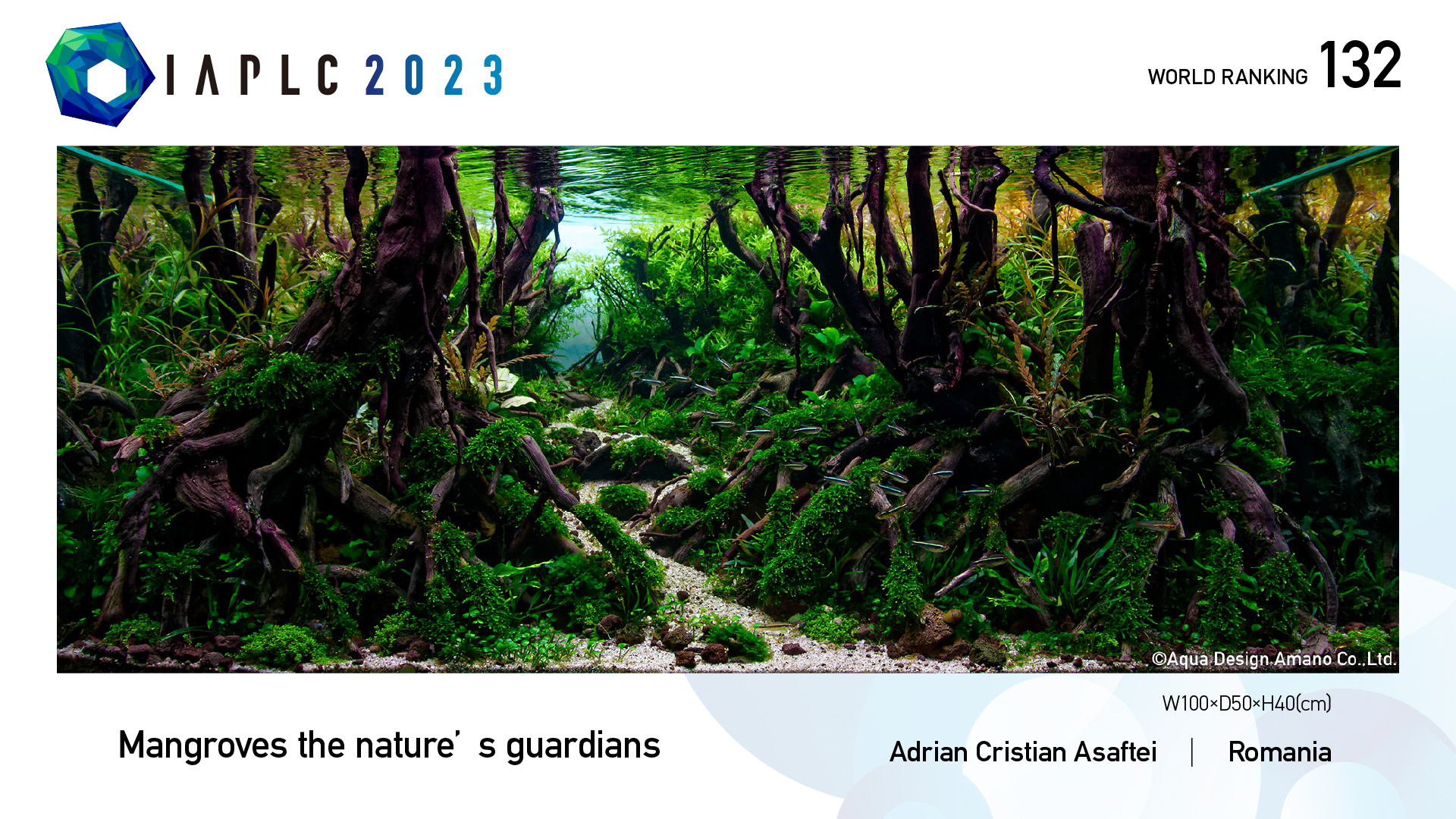 IAPLC - ONLINE APPLICATION