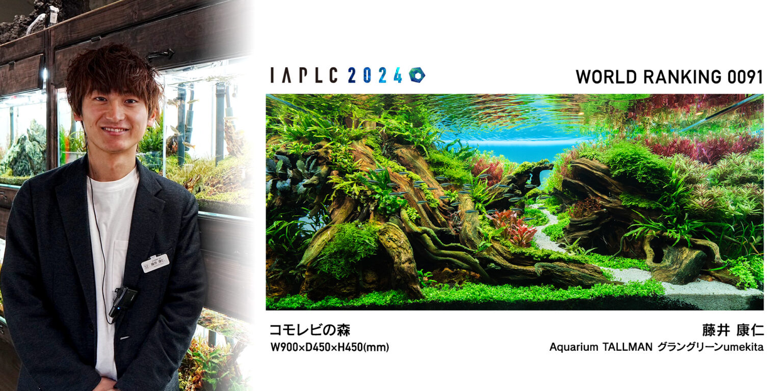 IAPLCサポートショップ 2025を公開 | IAPLC 2024 | 世界最大の水草レイアウトのコンテスト